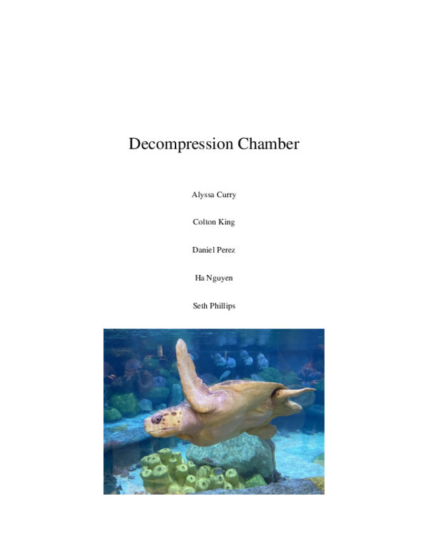 (PDF) Decompression chamber