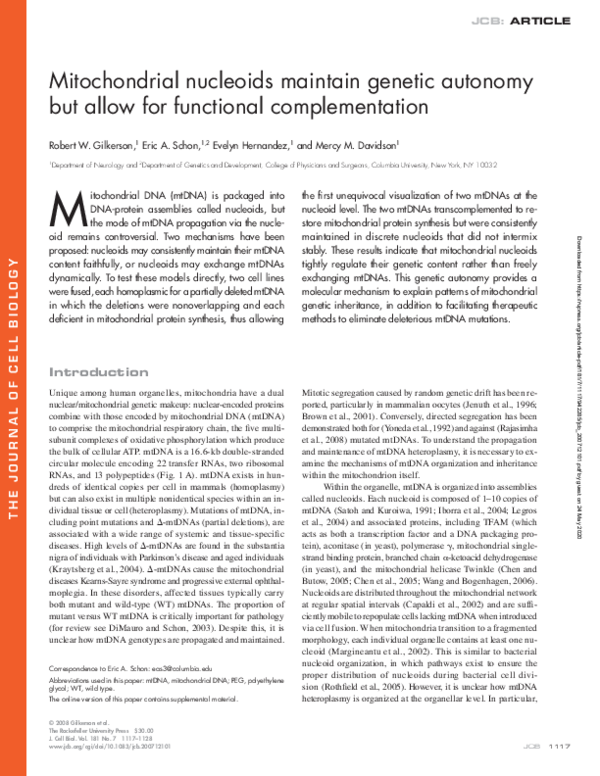 (PDF) Mitochondrial nucleoids maintain genetic autonomy but allow for ...