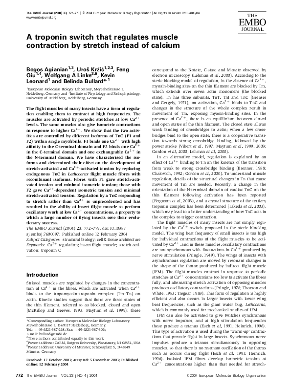 (PDF) A troponin switch that regulates muscle contraction by stretch ...