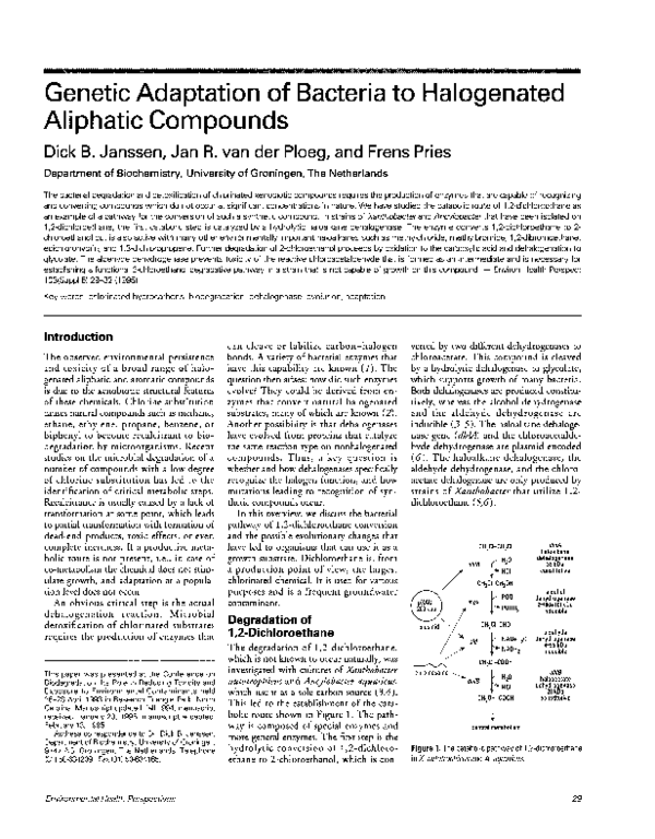 (PDF) Genetic adaptation of bacteria to halogenated aliphatic compounds