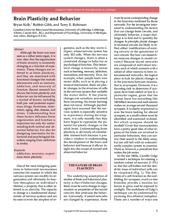 (PDF) Brain Plasticity and Behavior