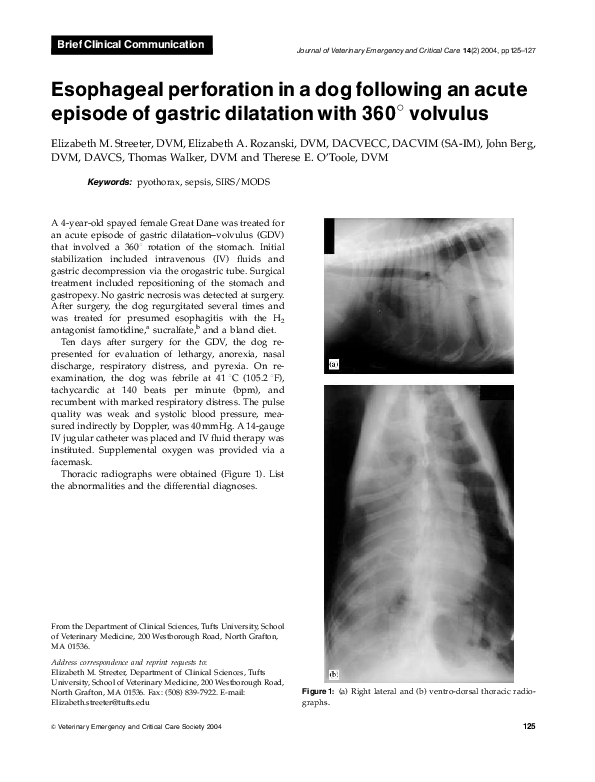 (PDF) Esophageal perforation in a dog following an acute episode of ...