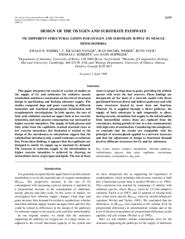 (PDF) Design of the Oxygen and Substrate Pathways: VII. Different ...