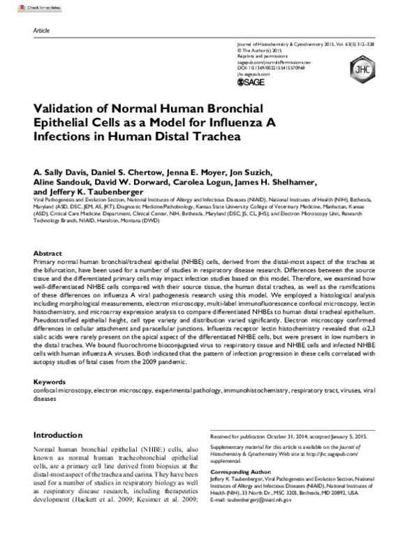 (PDF) Validation of Normal Human Bronchial Epithelial Cells as a Model ...