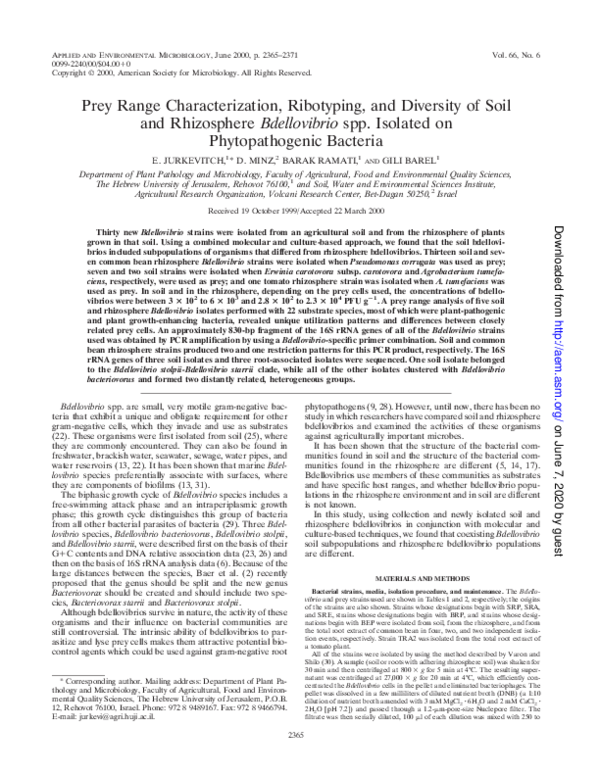(PDF) Prey Range Characterization, Ribotyping, and Diversity of Soil ...