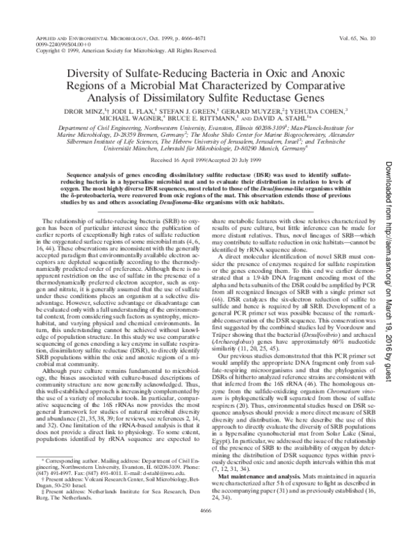 (PDF) Diversity of Sulfate-Reducing Bacteria in Oxic and Anoxic Regions ...