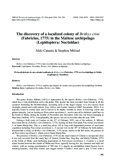 (PDF) The discovery of a localized colony of Brithys crini (Fabricius ...