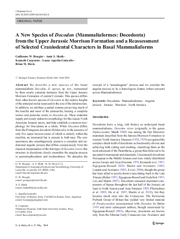 (PDF) A New Species of Docodon (Mammaliaformes: Docodonta) from the ...