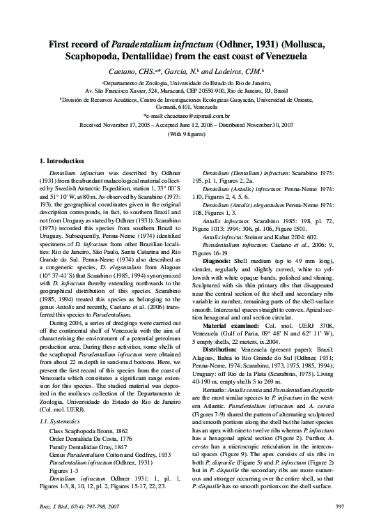 (PDF) First record of Paradentalium infractum (Odhner, 1931) (Mollusca, Scaphopoda, Dentaliidae ...