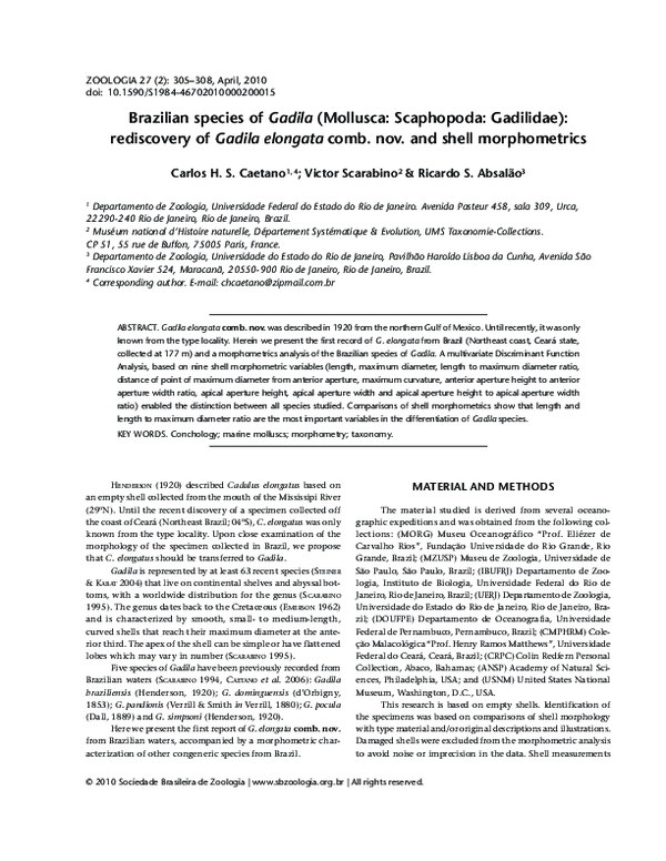 (PDF) Brazilian species of Gadila (Mollusca: Scaphopoda: Gadilidae): rediscovery of Gadila ...