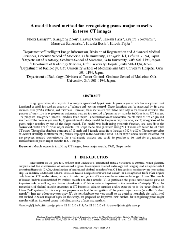 (PDF) A model based method for recognizing psoas major muscles in torso ...