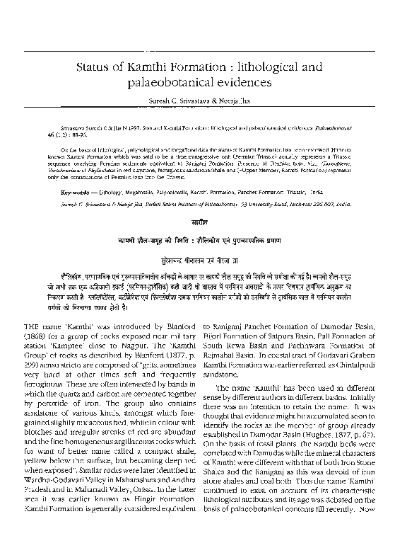 (PDF) Status of Kamthi Formation: lithological and palaeobotanical ...