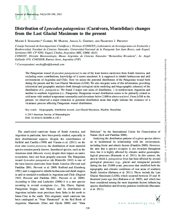 (PDF) Distribution ofLyncodon patagonicus(Carnivora, Mustelidae ...