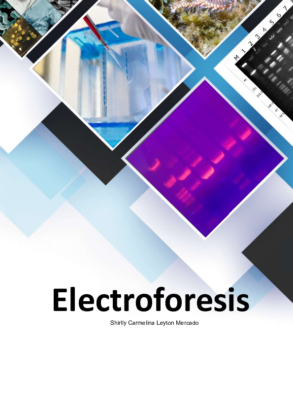 (PDF) ELECTROFORESIS DE ADN
