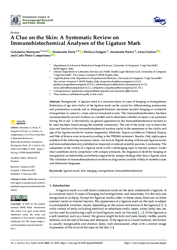 (PDF) A Clue on the Skin: A Systematic Review on Immunohistochemical ...