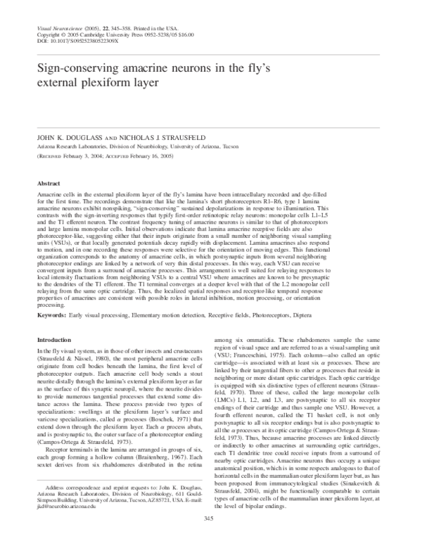 (PDF) Sign-conserving amacrine neurons in the fly's external plexiform ...