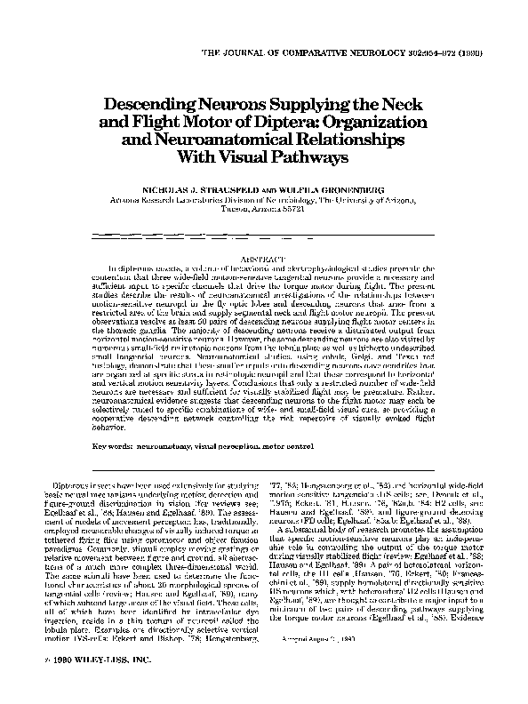 (PDF) Descending neurons supplying the neck and flight motor of diptera: Physiological and ...