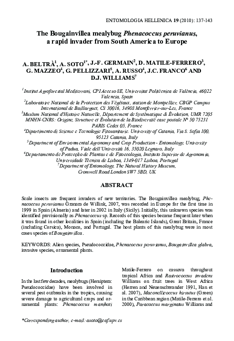 (PDF) The Bougainvillea mealybug Phenacoccus peruvianus, a rapid ...