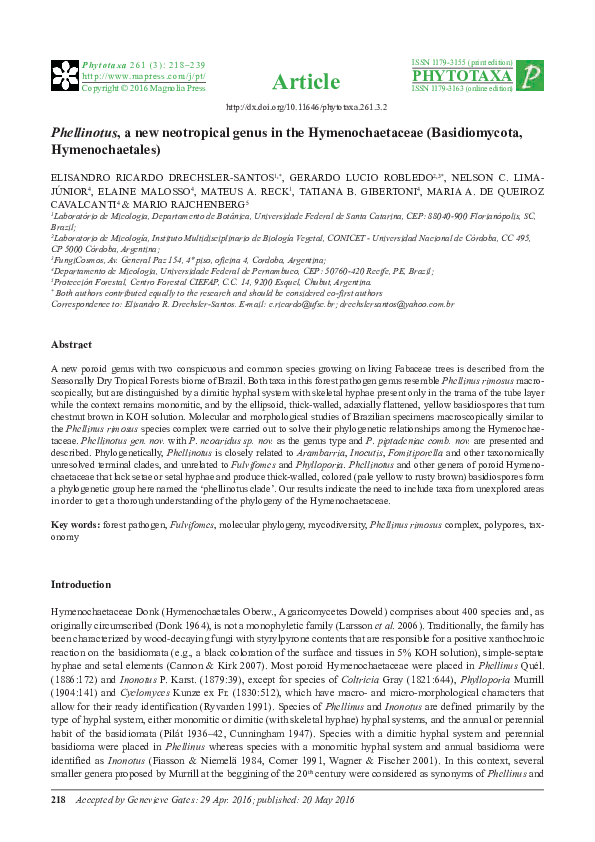 (PDF) Phellinotus, a new neotropical genus in the Hymenochaetaceae ...