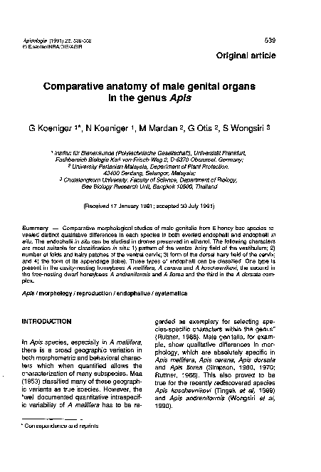 (PDF) Comparative anatomy of male genital organs in the genus Apis