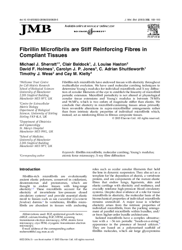 Fibrillin Microfibrils are Stiff Reinforcing Fibres in Compliant Tissues