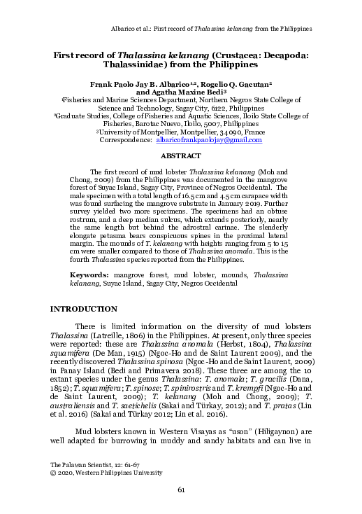 (PDF) First record of Thalassina kelanang (Crustacea: Decapoda ...
