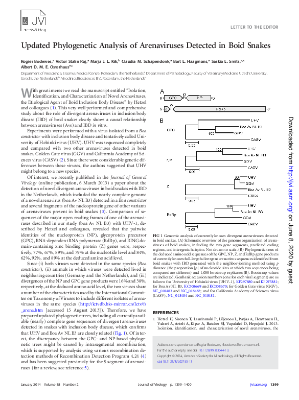 (PDF) Updated Phylogenetic Analysis of Arenaviruses Detected in Boid Snakes