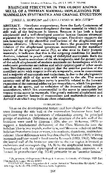 (PDF) Braincase structure in the oldest known skull of a therian mammal ...