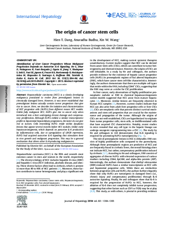 (PDF) The origin of cancer stem cells
