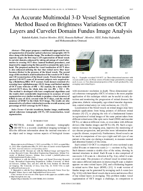 (PDF) An Accurate Multimodal 3-D Vessel Segmentation Method Based on Brightness Variations on ...