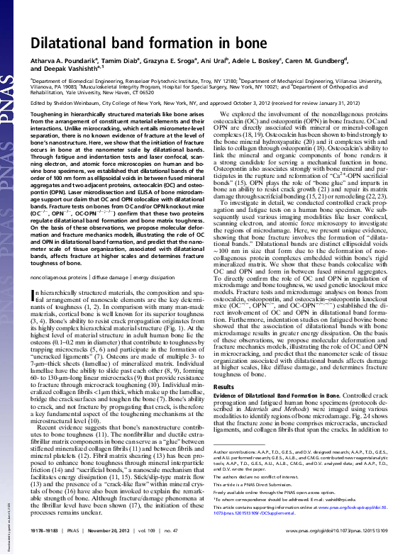 (PDF) Dilatational band formation in bone