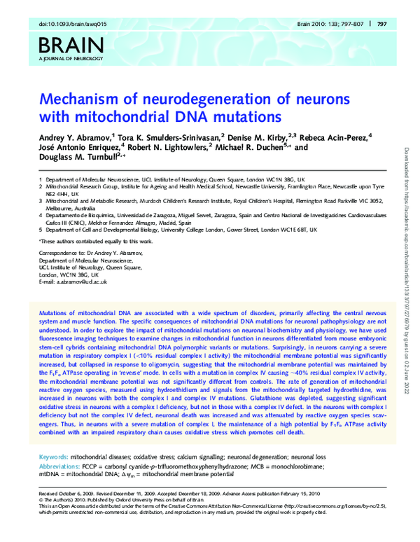 (PDF) Mechanism of neurodegeneration of neurons with mitochondrial DNA mutations