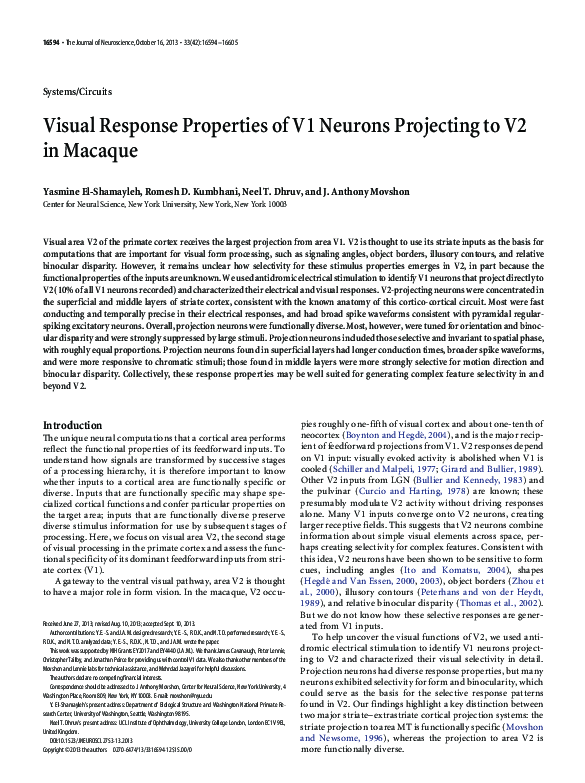 (PDF) Visual response properties of V1 neurons projecting to V2 in macaque
