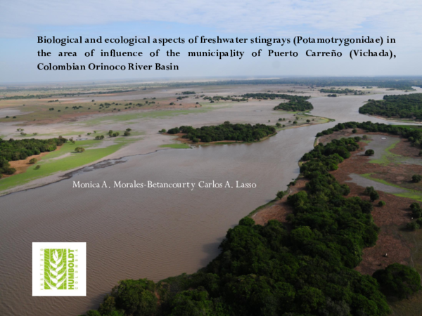 (PDF) Biological and ecological aspects of freshwater stingrays ...