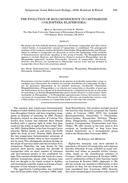 (PDF) The Evolution of Bioluminescence in Cantharoids (Coleoptera ...