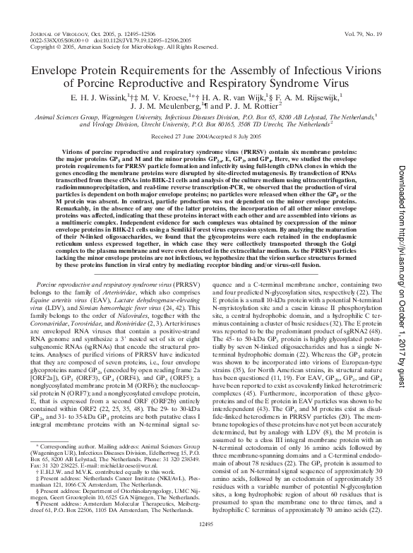 (PDF) Envelope Protein Requirements for the Assembly of Infectious ...