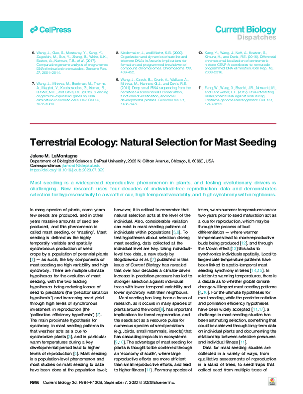 (PDF) Laparoscopic and Robotic Mesh-Free Suture Hysteropexy Versus Mesh ...