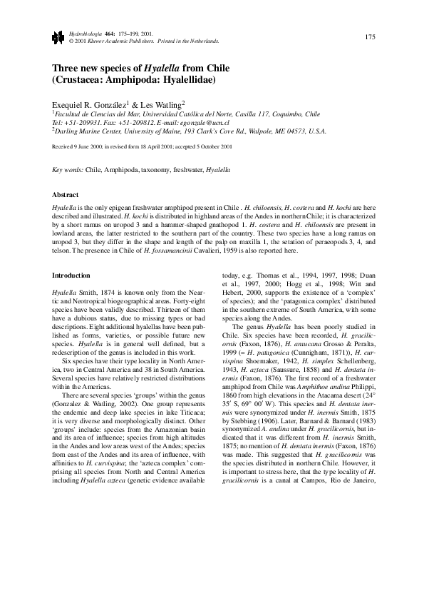(PDF) Three new species of Hyalella from Chile (Crustacea: Amphipoda ...