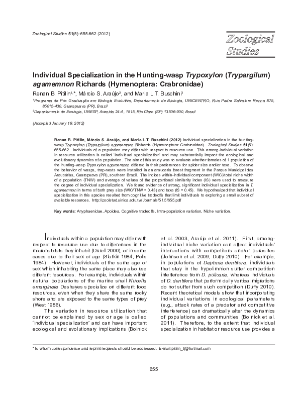(PDF) Individual Specialization in the Hunting-wasp Trypoxylon ...