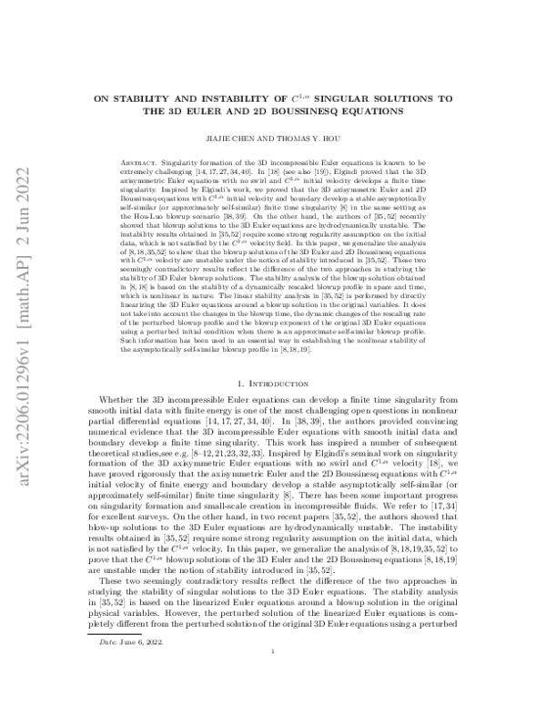 (PDF) On stability and instability of $C^{1,\alpha}$ singular solutions ...