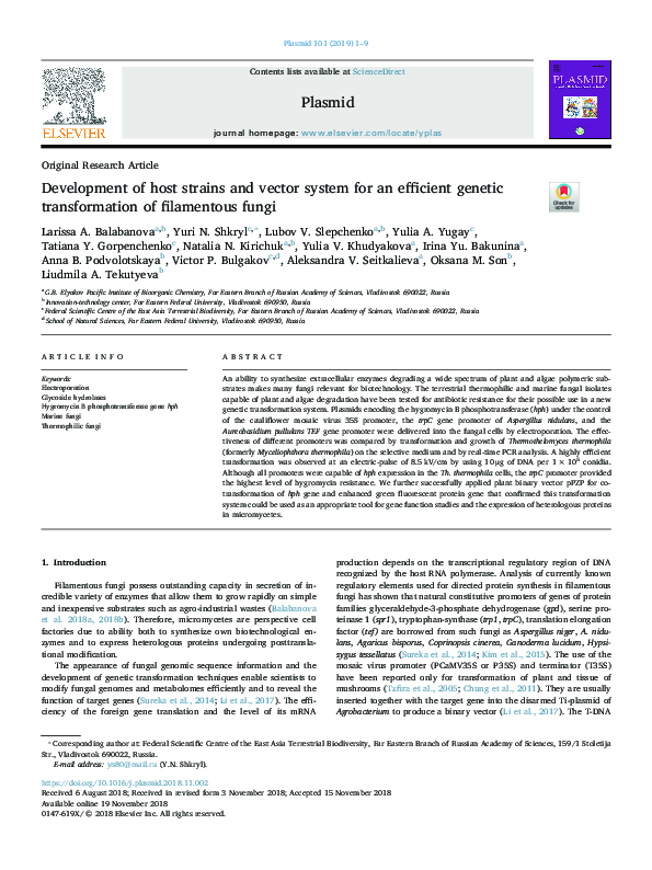 (PDF) Development of host strains and vector system for an efficient ...