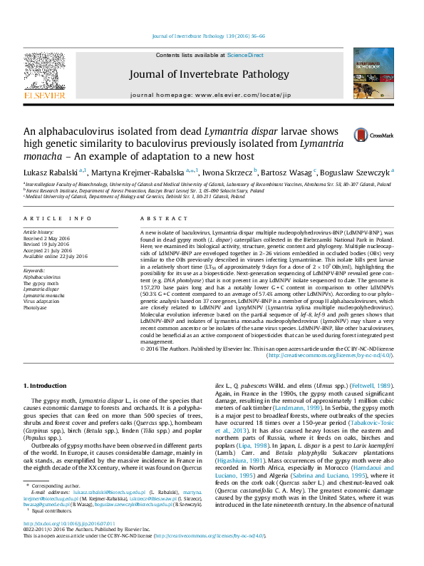 (PDF) An alphabaculovirus isolated from dead Lymantria dispar larvae ...