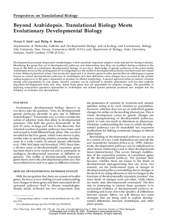 (PDF) Beyond Arabidopsis. Translational Biology Meets Evolutionary ...