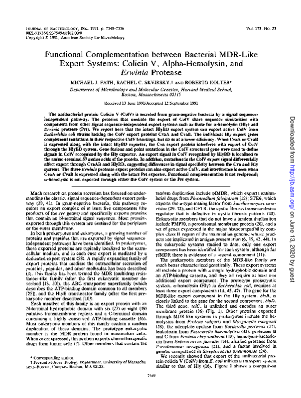 (PDF) Functional complementation between bacterial MDR-like export ...
