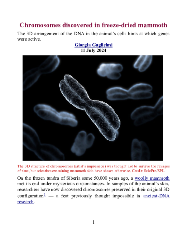 (PDF) Chromosomes discovered in freeze-dried mammoth
