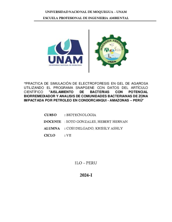 (PDF) “PRACTICA DE SIMULACIÓN DE ELECTROFORESIS EN GEL DE AGAROSA ...
