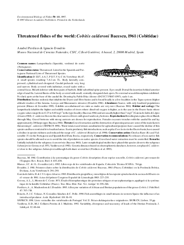 (PDF) Threatened fishes of the world: Cobitis calderoni Bacescu, 1961 ...