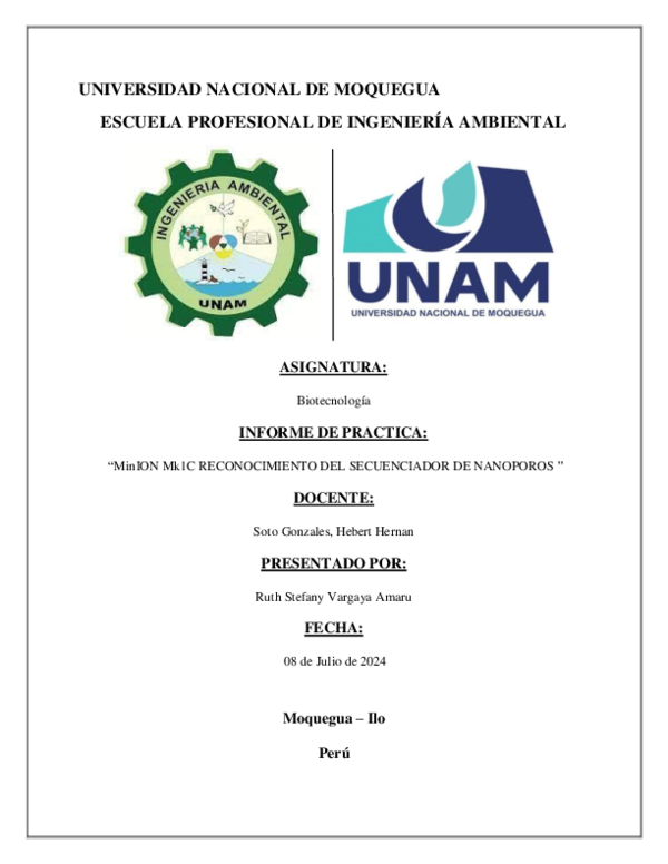 (PDF) Minion Mk1C