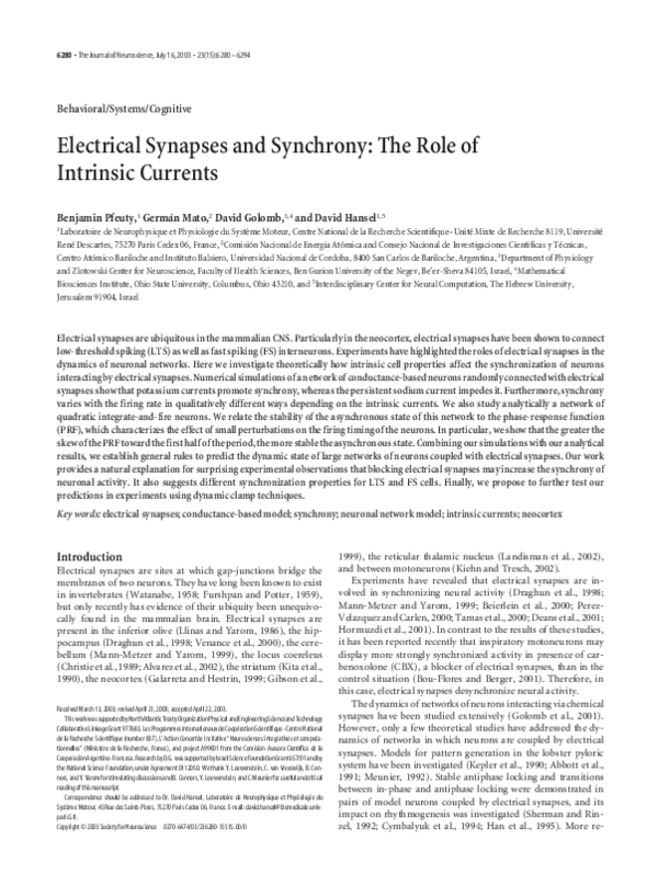 (PDF) Electrical Synapses and Synchrony: The Role of Intrinsic Currents