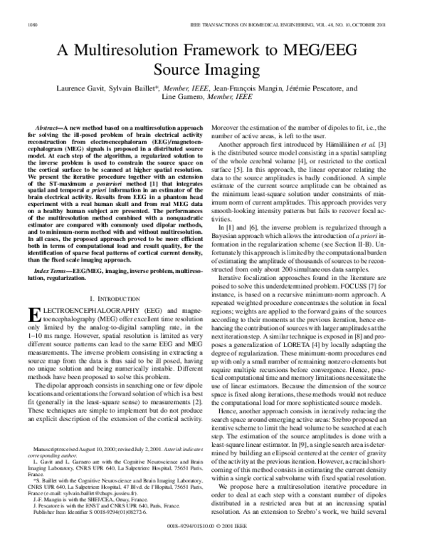 (PDF) A multiresolution framework to MEG/EEG source imaging
